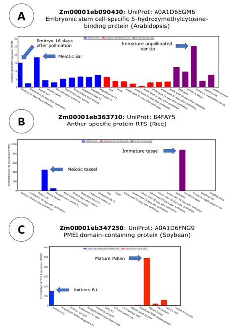 Qteller Results For Three Uncharacterized Proteins The Figure Shows Download Scientific