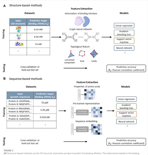 Table 1 From Machine Learning Methods For Protein Protein Binding Affinity Prediction In Protein