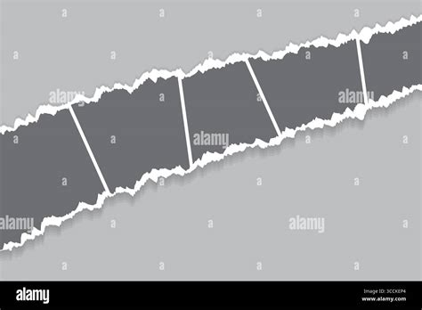 Photo Frame Collection Polaroid Photo Frame With Realistic Drop Shadow Collage Collage