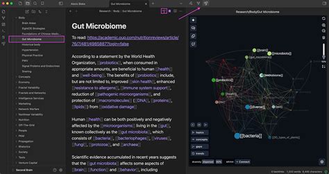 InfraNodus Obsidian Graph View Plugin User Manual Nodus Labs Support Center