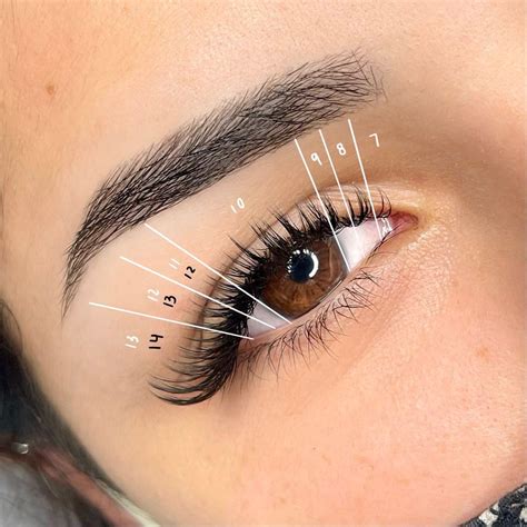 Lash Map Lashes Fake Eyelashes Eyelash Extensions Perfect Eyelashes