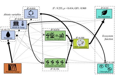 Structural Equation Model Examining The Links Among The Physical Download Scientific Diagram