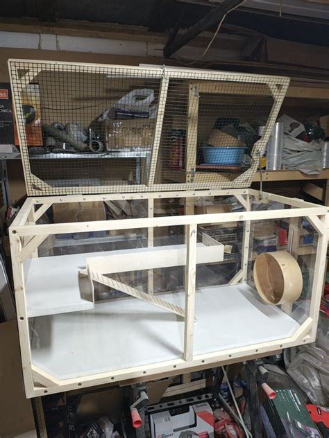 Vand Cusca Pt Hamsteri Cu Roata De 20cm Sighetu Marmatiei • Olx Ro