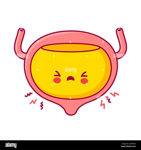 Cute Sad Funny Human Bladder Organ Character Vector Flat Line Cartoon