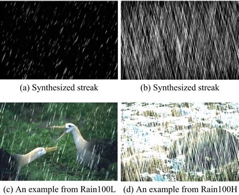 Sample Images From Real World Rainy Dataset Download Scientific Diagram