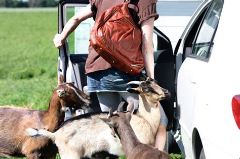 How To Recognize Poor Executive Function Penelope Trunk Careers Blog