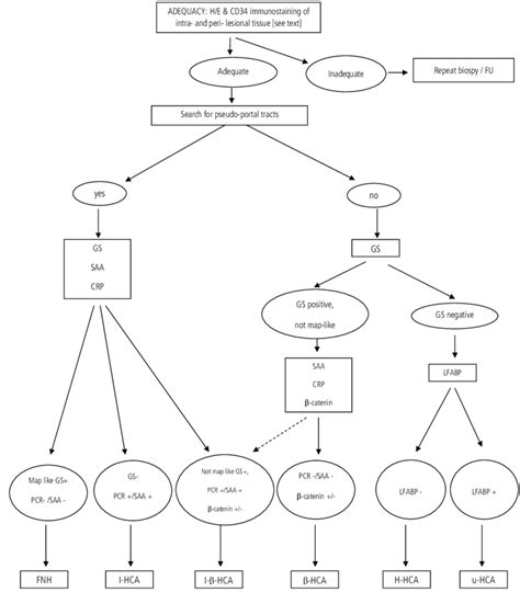 Differential Diagnosis Flowchart