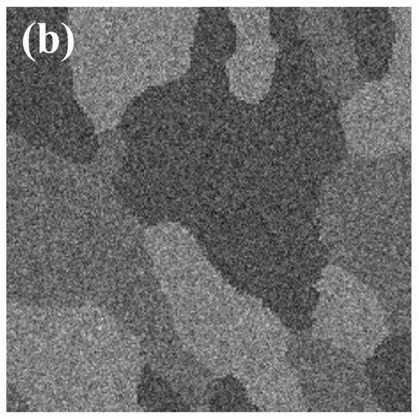 A Piecewise Constant Image With 3 Subdomains B Corrupted With Download Scientific Diagram