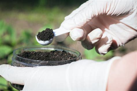 Soil Science Concept Stock Photo Image Of Holding Pedology 182671100