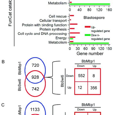 Functional Distribution Analyses Of Transcriptomic Data A