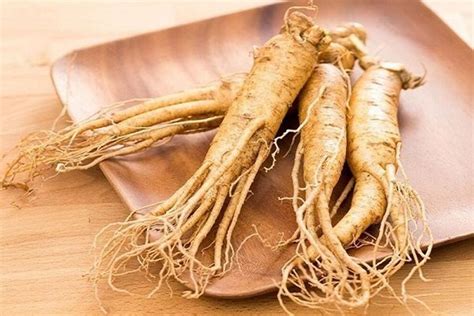 جینسینگ و خواص آن عطاری طبیعت