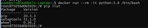 Wrong Dependencies For Python Pip · Issue 7580 · Msys2mingw Packages