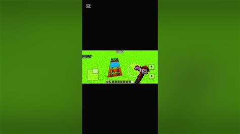 День 4 сажаю моркофь за каждого подпишика Простите меня за что не выпускал видео Shorts