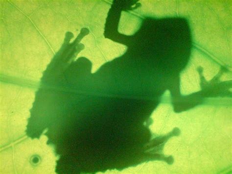 how to handle missing timesteps in sequence prediction problems with python