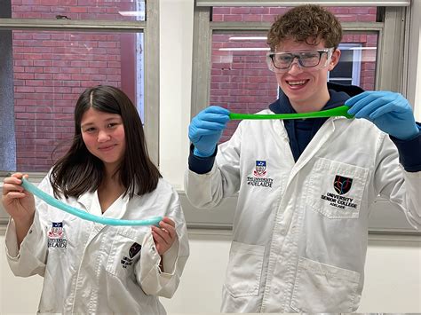 Year 11 Chemistry Investigated Cross Linking Polymers University
