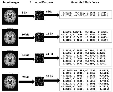 Github Alexsisaymri Retrieval Retrieval Of Brain Mri Image