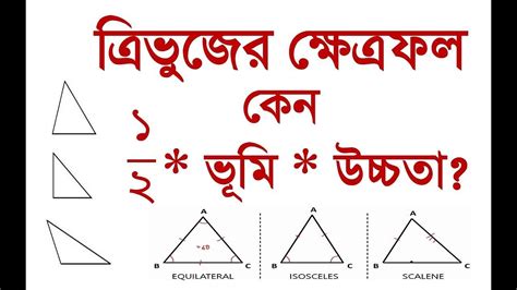 ক্ষেত্রফলের ধারণা ত্রিভুজের ক্ষেত্রফল কেন ১২ ভূমি উচ্চতা Bcs Math Tricks Youtube