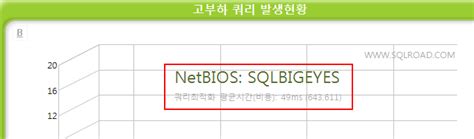 Sqlbigeyes왕눈이 Professional V5 출시 Sqlroad Sql Server 튜닝 컨설팅 기업 Mssql