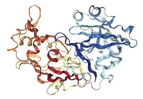 Molecular Dynamics Deep Projects