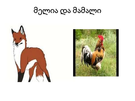 Calaméo მელია და მამალი