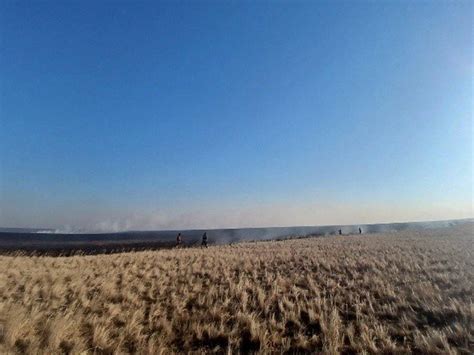 Ой хээрийн 18 удаагийн түймрийн дуудлага бүртгэгдээд байна