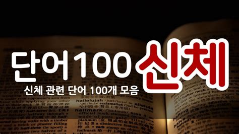 단어100 신체 관련 단어 100개 모음 Youtube