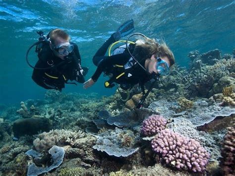 Ok여행사 절대 잊을 수 없는 그레이트 배리어 리프 경험 줌줌투어 호주 케언즈