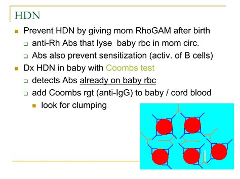 Hypersensitivity And Its Causes And Effects Ppt