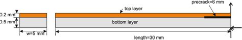 Geometry Of The Sample And The Applied Boundary Conditions For Download Scientific Diagram