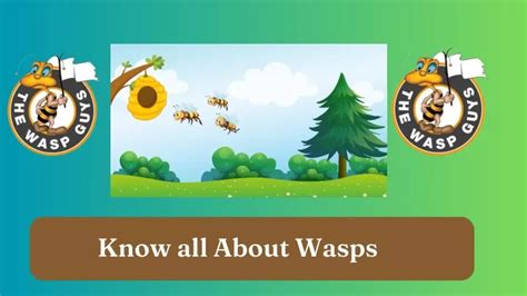 Ppt Know All About Wasps Powerpoint Presentation Free Download Id