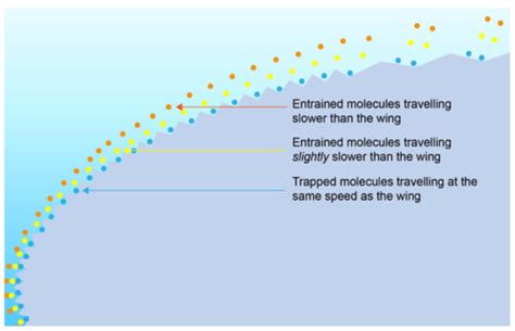 Introduction To Drag Flashcards Quizlet