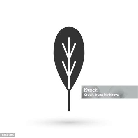 흰색 배경에 격리 된 회색 잎 아이콘 나뭇잎 기호 신선한 천연 제품 기호 벡터 0명에 대한 스톡 벡터 아트 및 기타 이미지 0명 Friendly Match 가을