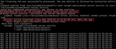 Install Sql Server 2017 On Red Hat Linux On Aws Part 2