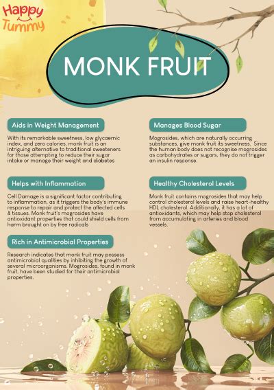 The Health Benefits Of Monk Fruit Sweetener Happytummy