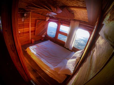 Niladri Tanguar Haor Boat নিলাদ্রী টাঙ্গুয়ার হাওড় বোট