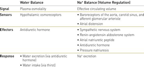 Regulation Of Body Fluid Balance Download Table