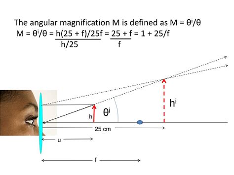 Ppt Lesson 5 The Simple Magnifying Glass Powerpoint Presentation Id 4423453