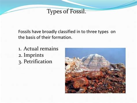 Types Of Fossils And Uses PPTX Geology Science