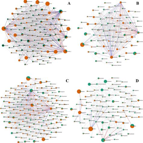 Network Analysis In Bacteria And Fungi In Seed And Leaf Microbiome Of