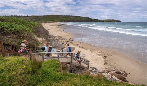 Killalea Campground In Killalea State Park New South Wales Reviews