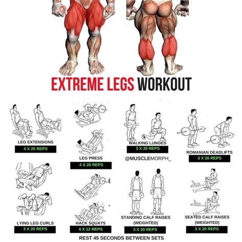 7 Leg Workout Ideas Leg Workout Workout Workout Plan