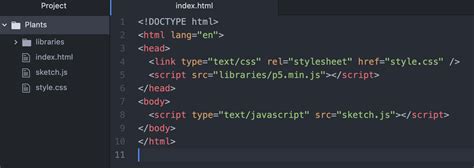 Getting Started With P JS