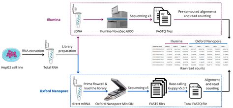 Oxford Nanopore MinION Direct RNA Seq For Systems Biology