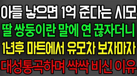 사이다사연 아들 낳으면 1억 준다더니 딸 쌀둥이란 소리에 연 끊자고한 시모가 1년후 마트에서 우연히 마주쳐 유모차를 보더니 대성