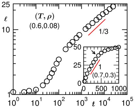 plots of average domain size ℓ versus time on a log log scale for