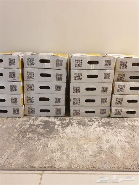20 كرتون تمر سكري فاخر جديد موقع حراج