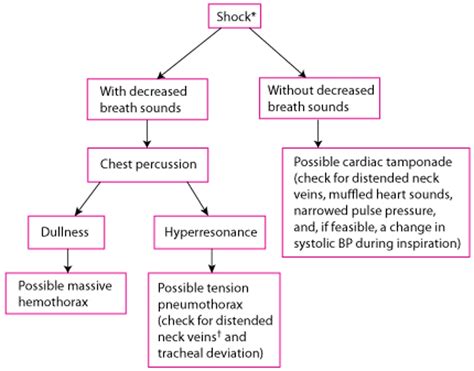 Imagea Simplified Rapid Assessment Forchest Injuries In Patients With