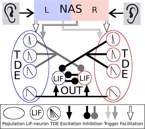 Time To Rate Network The NAS Converts Auditory Signals From The Left