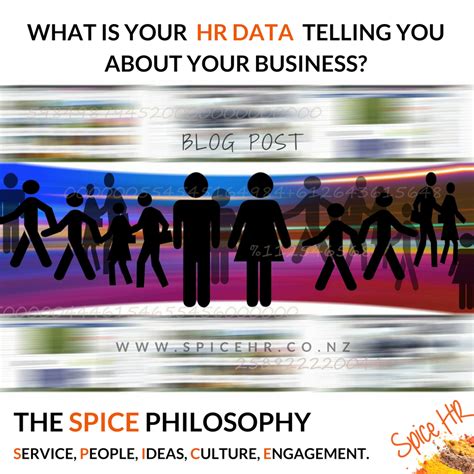 What Is Your HR Data Telling You About Your Business Spice HR