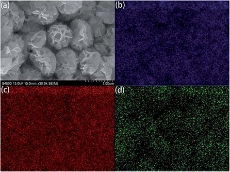 sem images a and eds elemental mapping of br b bi c and c d of